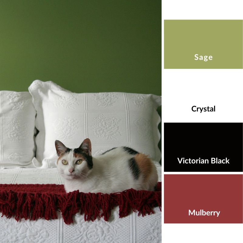 Green Colour Combinations – Vintro Paint