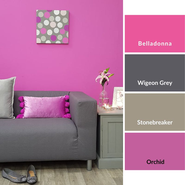 Pink Colour Combinations – Vintro Paint