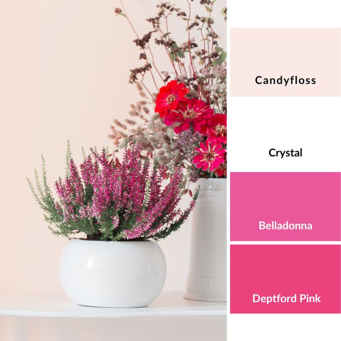 Pink Colour Combinations – Vintro Paint